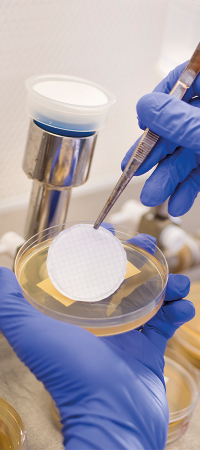 About Cormica - Medical Device, Combination Device Testing