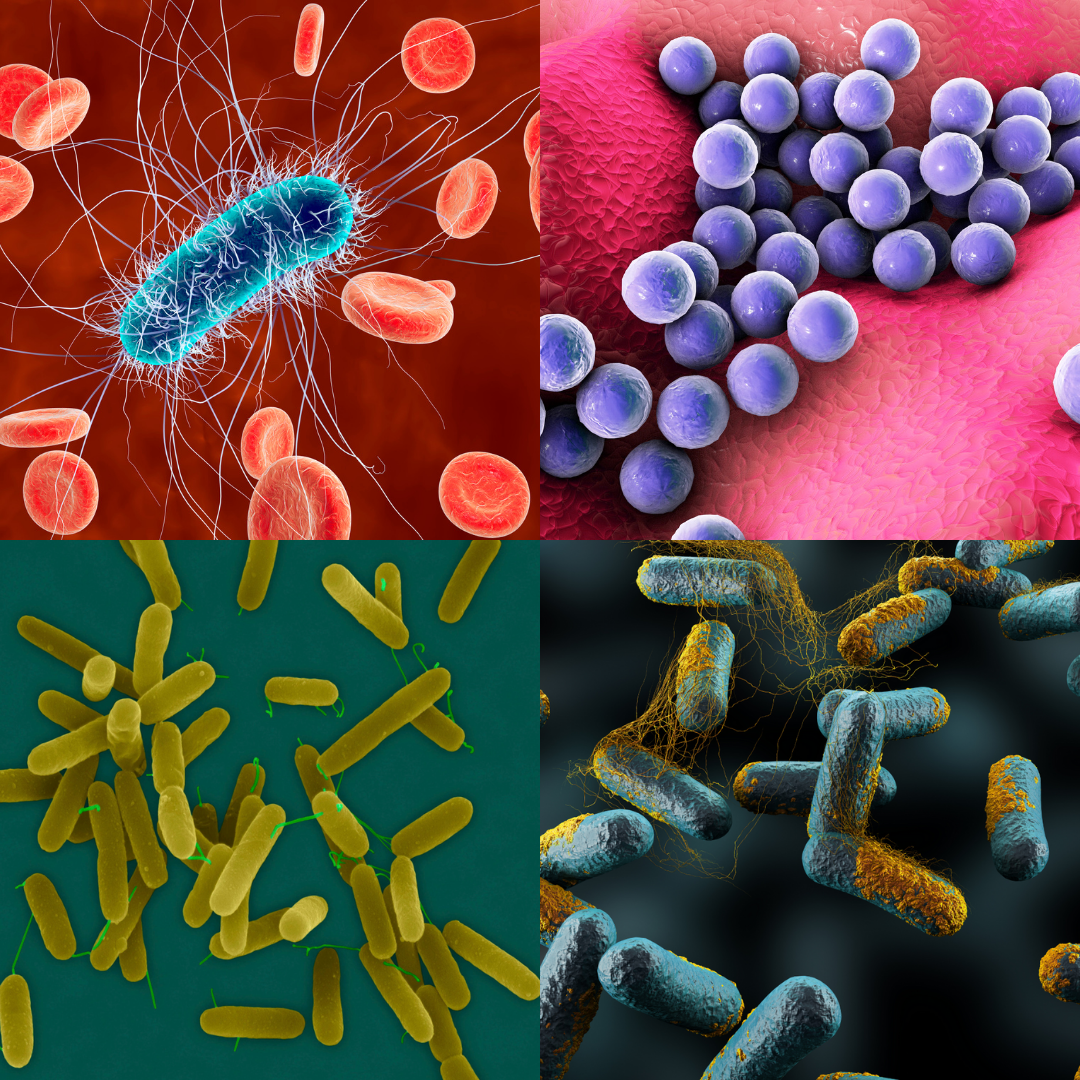 Microbiological Quality Control Testing - Cormica - Global Medical ... Microbiological Quality Control Testing - Cormica - Global Medical ...