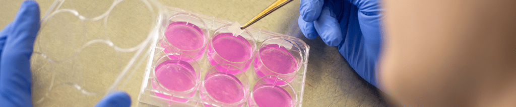 Bacterial Endotoxin Testing White Paper: Understanding Methods to ...