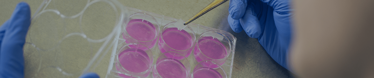 Biocompatibility ISO 10993 Testing - Cormica - Global Medical Device ...