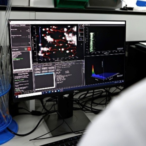 Particle / Powder Properties & Characterisation - Cormica Pharma & Med ...