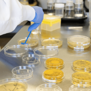 Microbiological Quality Control Testing - Cormica Pharma & Med Device ...