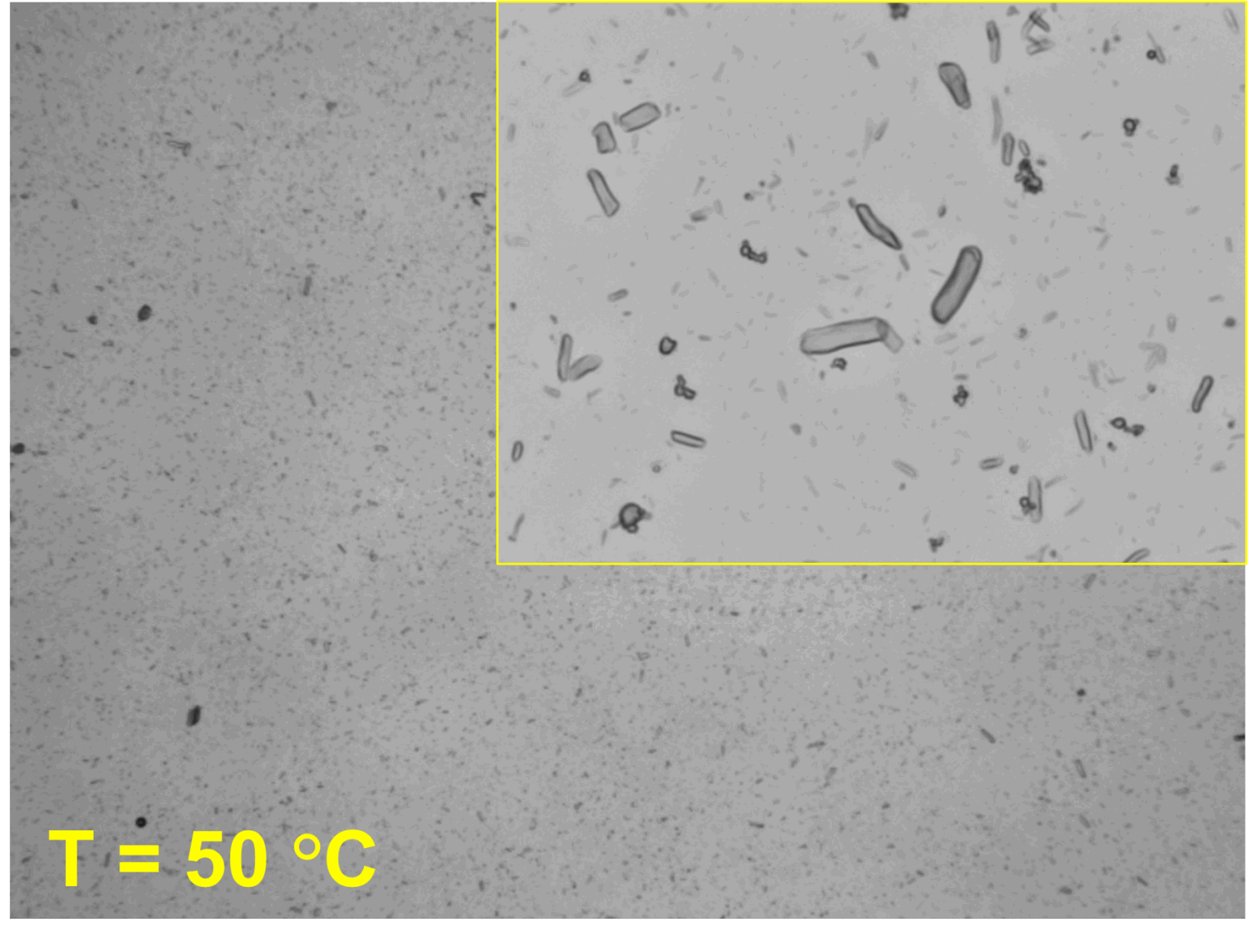 Using Cold-Stage MDRS to Study Temperature-Driven Particle Changes in ...