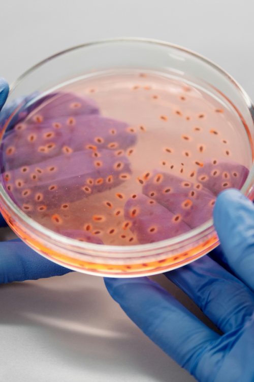 Tests for Specified Microorganisms - Cormica Pharma & Med Device Testing